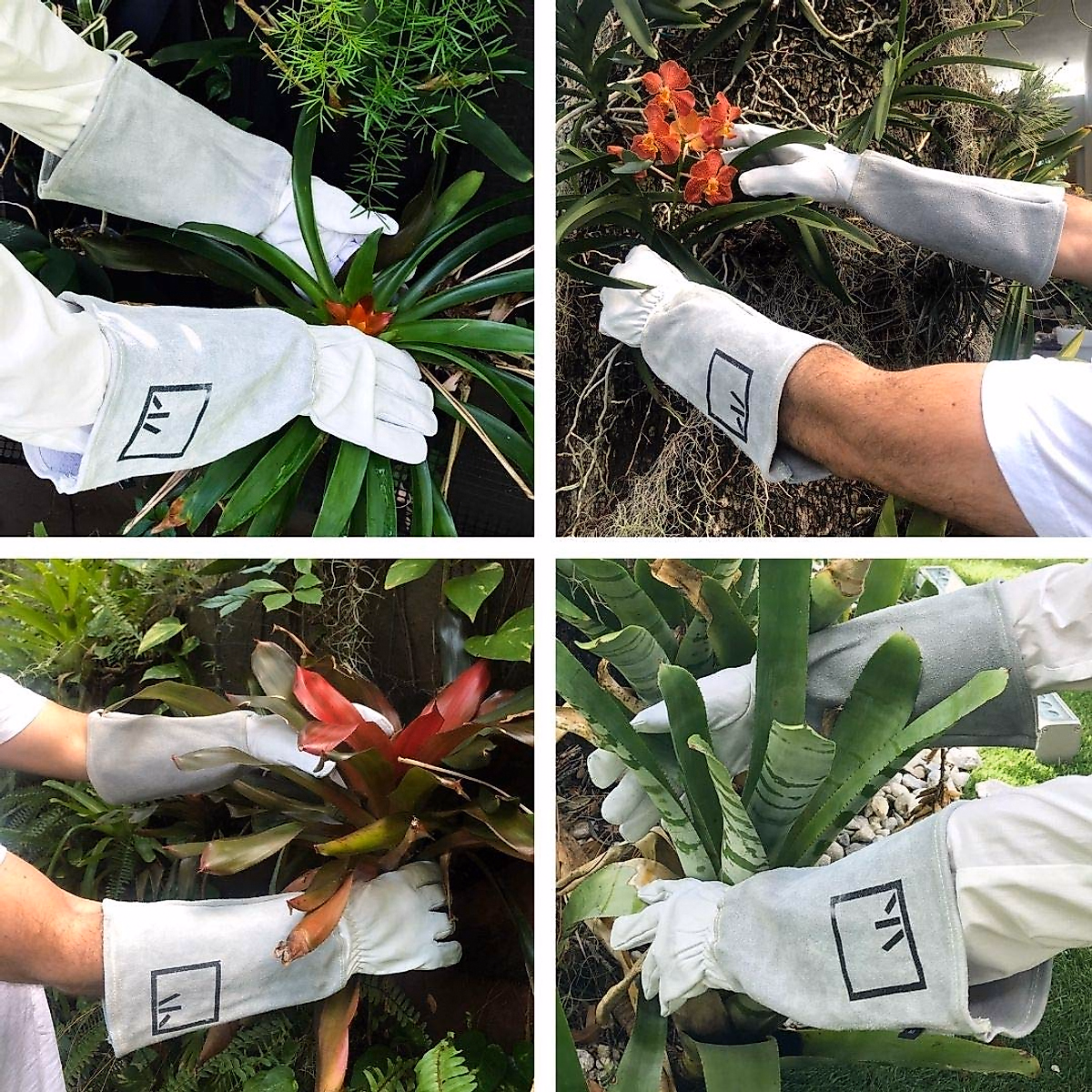 Rose Pruning Gloves Gauntlet Garden Gloves Leather Long Gardening Gloves for Women Rose Gloves Cut Proof Work Gloves White Garden Gloves for Rose Gardening Gloves Rose Bushes Ready to Plant Cowhide S