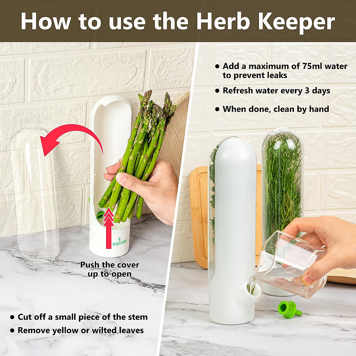 EXQUIZE Fresh Herb Keeper - Refrigerator Organizers - 3 Pack White BPA Free Round Containers - Includes Green Herb Tool - 2.5 Inches