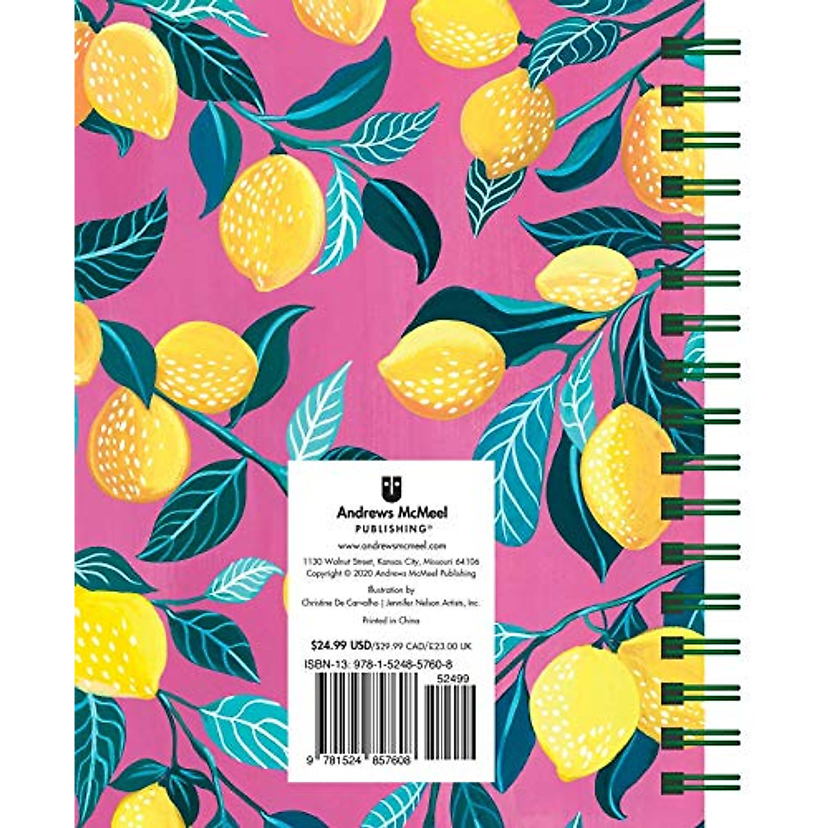 Posh: Deluxe Organizer 17-Month 2020-2021 Monthly/Weekly Planner Calendar: Lemondrops