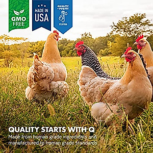 HealthyGut Probiotics for Chickens & Poultry, All-Natural Digestive System Dietary Supplement (90 Scoops)