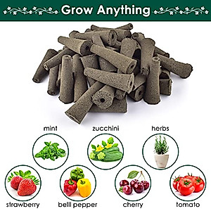 PACETAP 50 Pack Grow Sponges, Seed Pods Replacement Root Growth Sponges Compatible with AeroGarden, Seedling Starter Sponges Kit Refill Grow Sponge for Hydroponic Indoor Garden System