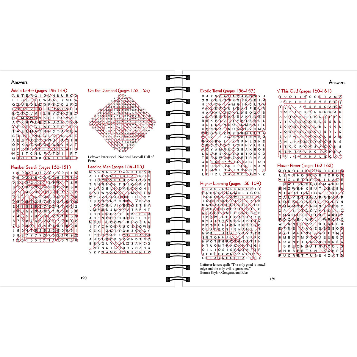 Brain Games - Word Searches - Large Print (Red)