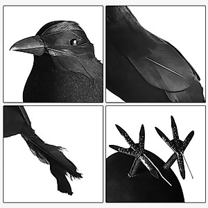 kemooie 6 Packs Real Feathered Halloween Black Crows, Handmade Realistic Crow with Real Feathers Raven Birds for Yard Tree Garden Patio Indoor Outdoor Halloween Decorations
