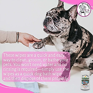 Jax N Daisy Pool Pawty Summer Scent Pet Wipes - Cat & Dog Wipes, Handy Pet Supplies, Cleaning Products for Dogs & Cats, Dog Accessories, Products for Cats, Cat & Dog Ear Cleaner, Cat & Dog Supplies