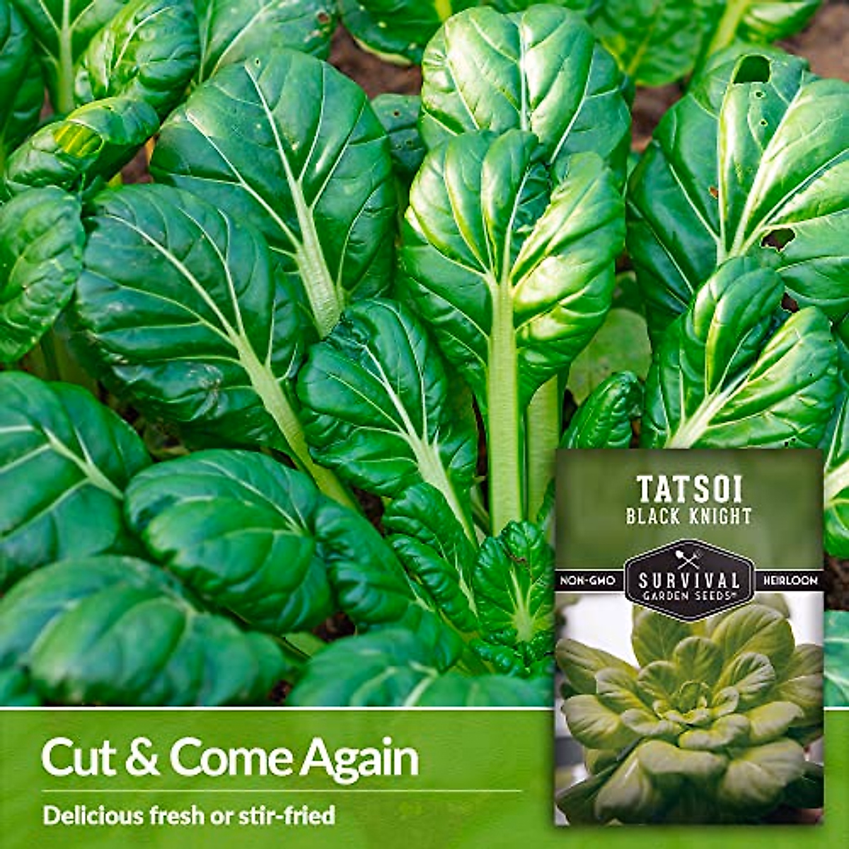 Survival Garden Seeds - Black Knight Tatsoi Seed for Planting - Packet with Instructions to Plant and Grow Delicious Asian Mustard Greens in Your Home Vegetable Garden - Non-GMO Heirloom Variety…