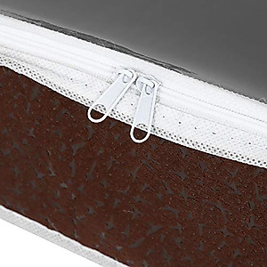 LIULDASHUN Clear Foldable Shoe Storage Boxes, Shoe Organizer Boxes, Adjust Dividers, Waterproof Shoes Storage Box with Zipper PVC Cover for Home Organization (L)