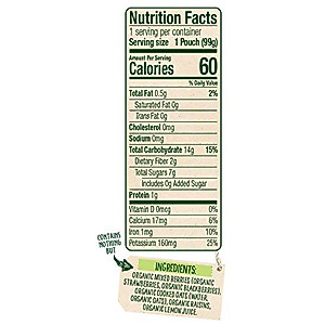 Sprout Organic Baby Food, Stage 2 Pouches, Fruit Veggie & Grain Blend, Mixed Berry Oatmeal, 3.5 Oz Purees (Pack of 6)