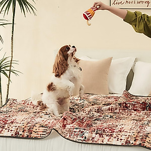 Qeils Washable Pee Pads for Dogs, 2 Pack Reusable Puppy Pads 36"x41" Super Absorbent Leakproof Dog Training Pads, Non-Slip Potty Pads for Floor, Crate, Couch, Whelping Pads Litter Mat Puppy Supplies