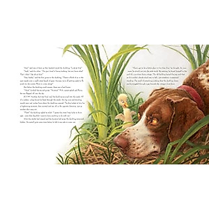 Classic Storybook Fables: Including "Beauty and the Beast" and Other Favorites