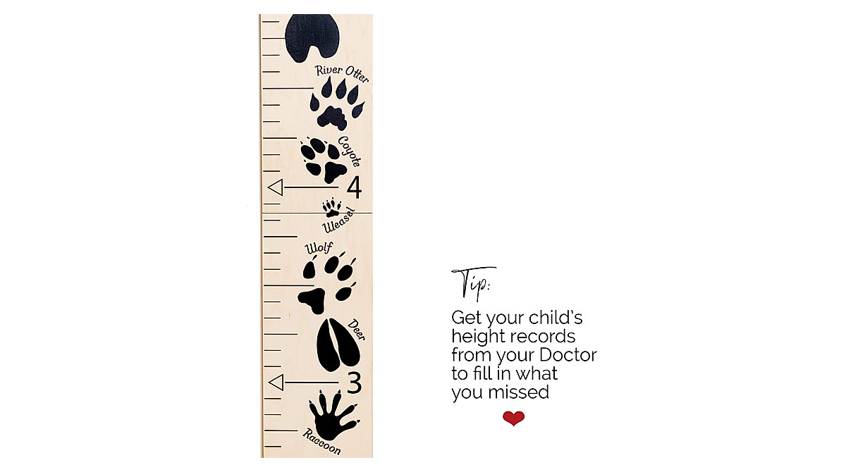 HEADWATERS STUDIO Kids Wooden Wall Growth Chart, Boys and Girls ...