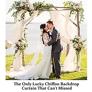 White Chiffon Backdrop Curtain-2 Panels 29"x120" Chiffon Wedding Backdrop Drapes Beach Curtains for Living Room Voile Window Curtain Photography Backdrop for Wedding Ceremony (29''x120''x2pcs, White)