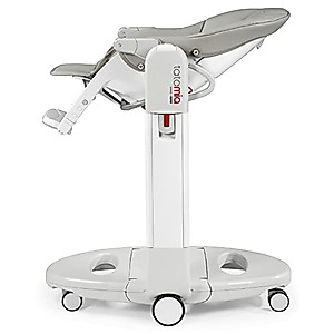 Peg Perego Tatamia 3 in 1-Recliner-Swing and High Chair, Ice