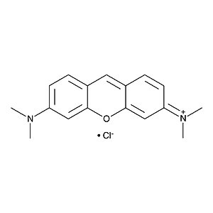 Cayman Chemical 14488-1 Pyronin Y, 1g