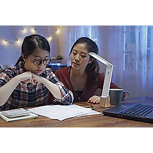 Daylight Company Smart Go Portable Ideal for Reading, Light Therapy, Everyday Tasks, Crafts, Desk Work, DIY, Led, Chargeable lamp, 1 Count (Pack of 1), White