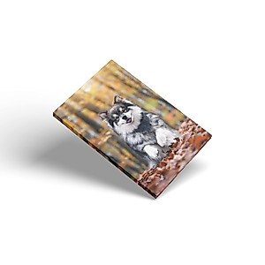 Custom Canvas Prints With Your Photos,Personalized Pictures On Canvas Wall Art for Bedroom, Living Room, Wedding Baby Pet Family Picture Framed Wall Art (5"W x 7"H) - Gift Wrapping Available