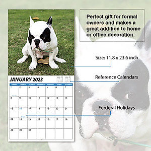 2023-2024 Wall Calendar – 18 Monthly Pooping Dogs Calendar 2023, Jan 2023 - Jun 2024, Funny Gag Gifts Dog Calendar, 11.8" x 23.6" (Open), 11.8" x 11.8"(Closed), Perfect White Elephant Gift Funny