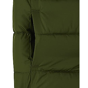 The Children's Place Boys' Medium Weight Puffer Jacket, Wind, Water-Resistant, Dark Ivy, XLarge (14)