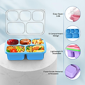 KHOXU Bento Lunch Box, 5 Compartment Meal Prep Container, Reusable, Durable, Stain-Resistant, Microwave & Dishwasher Safe, Blue/Purple/Green