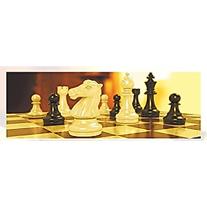 Multipurpose Magnetic Travel Chess Set 9.84" with Folding Chess Board Educational Toys for Kids and Adults