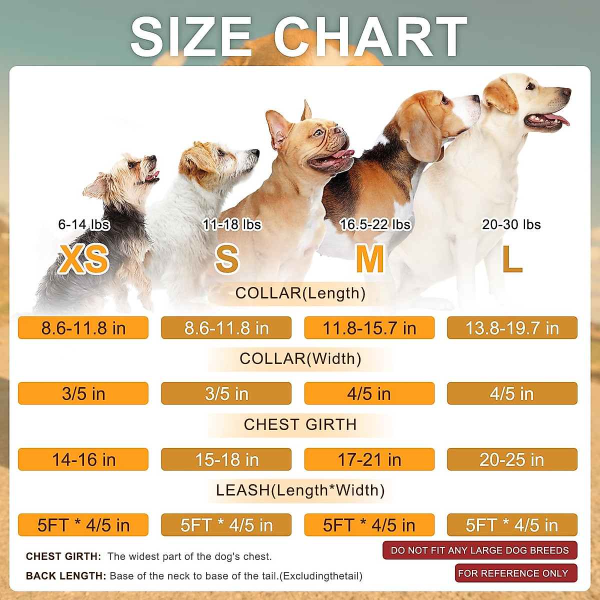 BEAUTYZOO Step in Dog Harness Collar and Leash Set for Small Medium Large Dogs, No Pull No Choke Puppy Harness, Soft Mesh Reflective Pet Padded Vest Adjustable for Doggie Girl or Boy,French Bulldog