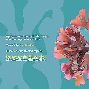 Mielle Organics Sea Moss Anti-Shedding Shampoo