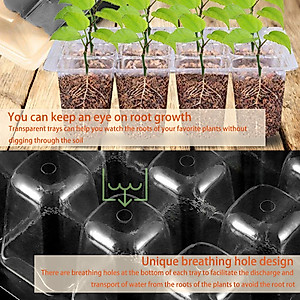 MYLTW 5 Pack Seed Starter Tray Seedling Tray Kits,Adjustable Humidity Plant Starter Dome and Base Greenhouse Grow Trays for Seeds Growing Starting(12 Cells Per Tray