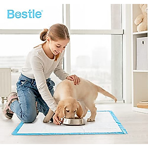 BESTLE Large Pet Training and Puppy Pads Pee Pad for Dogs 24"x24"-80 Count Super Absorbent & Leak-Proof