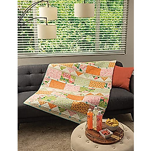 Snuggle Up!: 12 Cozy Nap and Lap Quilts (Moda All-stars)