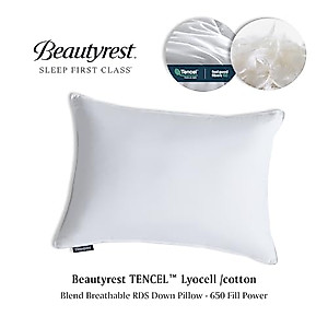 Beautyrest BT-DP-35, White, Feather, King, Bed Set of 2, Size, Cooling, Home Decor, Hotel Pillows