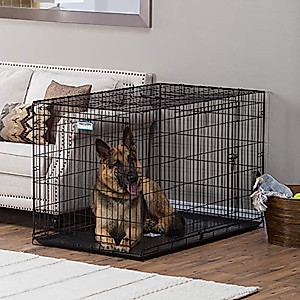 Precision Pet Products Two Door Provalue Wire Dog Crate, 48 Inch, For Pets 90-125 lbs, With 5-Point Locking System