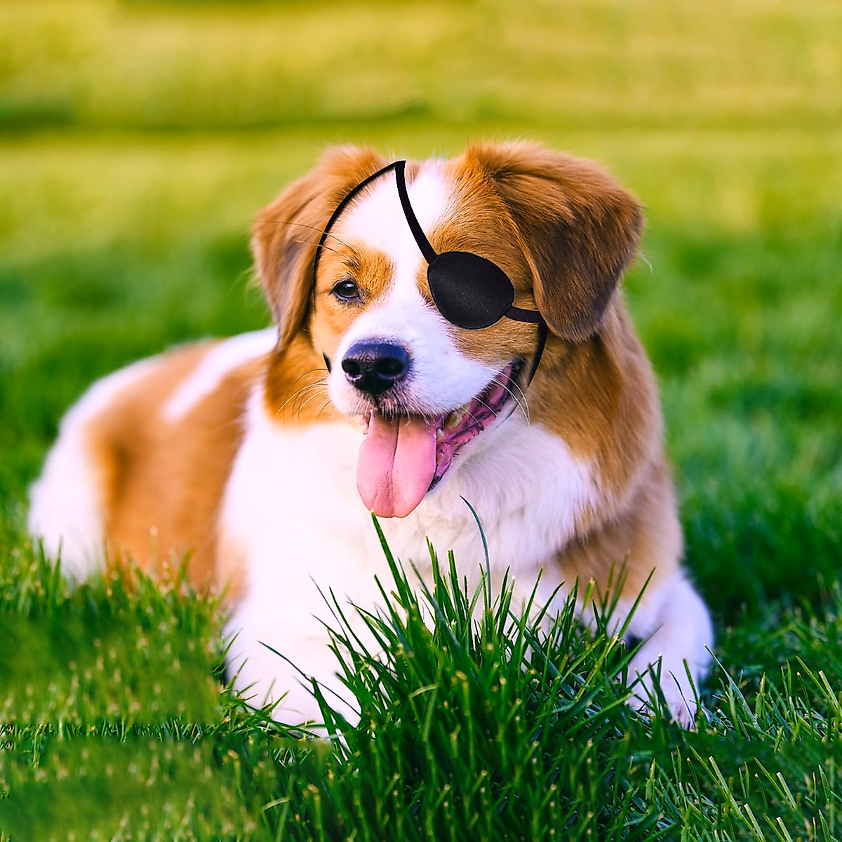 3pcs Upgrade Dog Eye Patch, Premium Dog Single Eyepatch, Protective Eye Cover for Small Medium Large Dogs Cats with Eye Injuries and Wounds