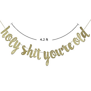 Holy Shit You're Old Glitter Banner, Funny 21st 30th 40th 50th 60th 80th 90th Birthday Decorations Pre-Strung Sign (Gold Glitter)