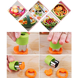 Fruit Vegetable Cutter Shapes Set, Mini Pie and Cookie Stamps Mold(8 pcs) with Melon Baller Scoop ＆ Carving Knife, Stainless Steel, DIY Fun Food Decorating Tools cookie cutter for Kitchen