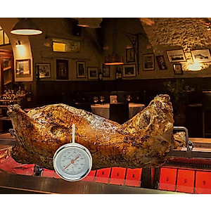 2 in Analog DIAL Meat Thermometer - 5.5 in Stainless Steel Probe Cooking Thermometer - Instant Read Food Thermometer - Candy Thermometer - Oven THERMOMETERS - Grill Thermometer - BBQ Thermometer