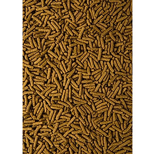 Wardley Premium Amphibian and Reptile Sticks - 4.75oz