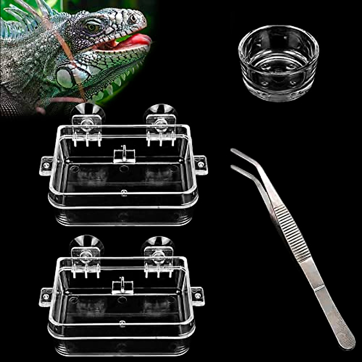 IAFVKAI Reptile Feeder Acrylic Anti Escape Gecko Chameleon Food Water Feeding Bowl Amphibians Worm Feeding Box for Snake Python Spider Lizard Scorpion Insects