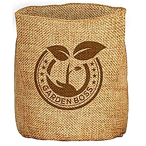 Succulent Cactus Seed DIY Terrarium Germination Starter Kit for Indoor Garden Growing - Mini Terrarium Kit with Seeds, Soil, Rocks, Moss, Pea Gravel, Activated Charcoal, and Burlap Potting Planters