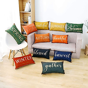 TRENDIN Farmhouse Fall Pillow Cover 20x12 inch Orange Fresh Local Pumpkin Throw Pillow Cover for Autumn Decor Fall Decorations for Couch Sofa PL553TR