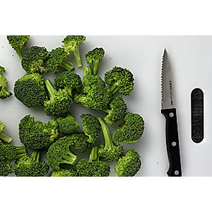 GINSU Kiso® Dishwasher Safe and Always Sharp 3.5” Paring Knife, Black