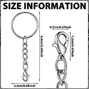 Sasylvia 100 Pcs Keychain Rings with Chain Key Chain Making Kit Include Split Key Ring with Chain, Open Jump Rings, Lobster Clasp, Keychain Ring for Crafts Jewelry Making Supplies, Silver