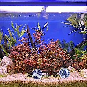 SEWACC Ceramics Balls Set of 3pcs Porcelain Orbs Random Style Chinese Style Decorative Balls Pretty Floating Balls Unique Home Decor for Bowl, Vase, Basket, Dish, Fish Tank ( Blue )