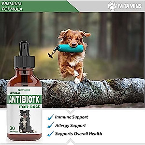 Dog Antibiotics - Antibiotics for Dogs - Antibiotic for Dog - Yeast Infection Treatment for Dogs - Dog Yeast Infection Treatment - Dog Ear Infection Treatment Antibiotic - Bacon Flavored (1 Pack)