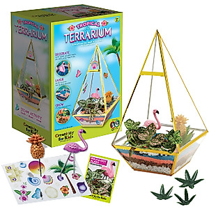 Creativity for Kids Tropical Terrarium Craft Kit - Kids Terrarium Kit for Ages 7+, STEAM Activity