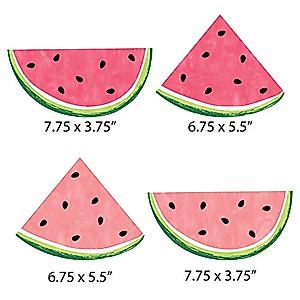 Big Dot of Happiness Sweet Watermelon - Decorations DIY Fruit Party Essentials - Set of 20