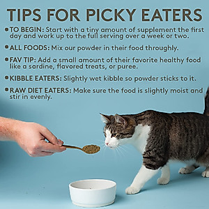 The Missing Link Pet Kelp Feline Well-Being 6oz Superfood Powdered Supplement, Organic & Limited Ingredient Formula for Digestive & Overall Health of Cats