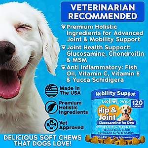 Well Loved Glucosamine for Dogs - Joint Supplement for Dogs, Made in USA, Vet Developed, Dog Joint Supplement, Glucosamine Chondroitin for Dogs, Advanced Hip and Joint Chews with MSM, Pain Relief, 120