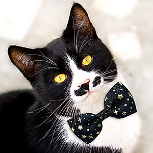 Pohshido 2 Pack Cat Collar with Bow Tie and Bell, Kitty Kitten Starshine Collar Breakaway Collar for Males Females Boys and Girls Cats (Rainbow+Black)