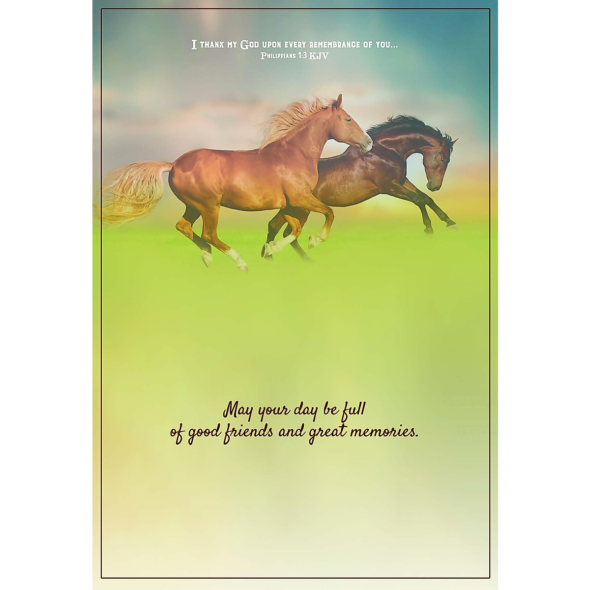 CPG Card-Boxed-Shared Blessings-Birthday Wild Horses (Box of 12)