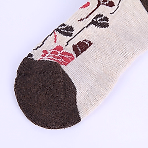 EnerWear 4 Pack Women's Merino Wool Outdoor Hiking Trail Crew Sock (US Shoe Size 4-10, Wine/Brown/Multi)