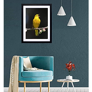 WKDP 12x16inch Frames for Diamond Painting Picture 30x40cm Diamond Art Frame 10x14inch/25x35cm with Mat or 12x16inch/30x40cm Canvas Size without Mat, Poster Frame Photo Frame Wood Frame Black (FK002)